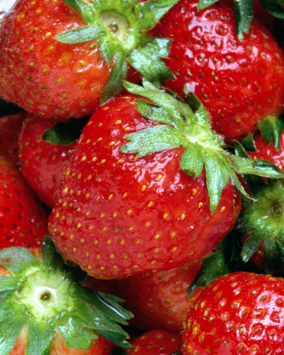 Nahrung/Gesundes/Obst & Früchte/Auswahl E / Erdbeere